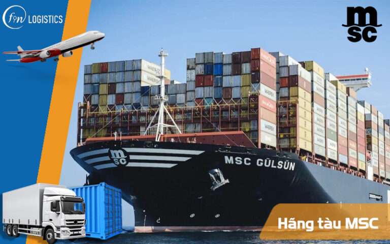 10 Hãng Tàu Container Vận Tải Biển Lớn Nhất Trên Thế Giới