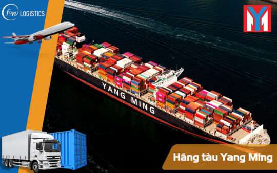 10 Hãng Tàu Container Vận Tải Biển Lớn Nhất Trên Thế Giới