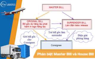Phân Biệt Master Bill Và House Bill Chi Tiết Nhất Năm 2025