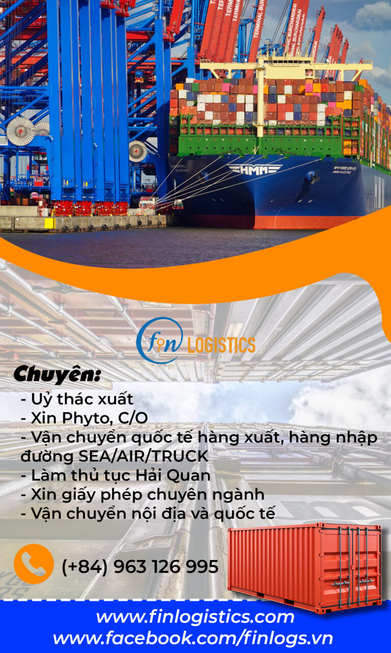 CY Là Gì? Phân Biệt Sự Khác Nhau Giữa CY Và CFS Năm 2025