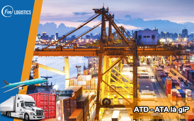 ATD Là Gì? Vai Trò Của ATD Và ATA Trong XNK Năm 2025