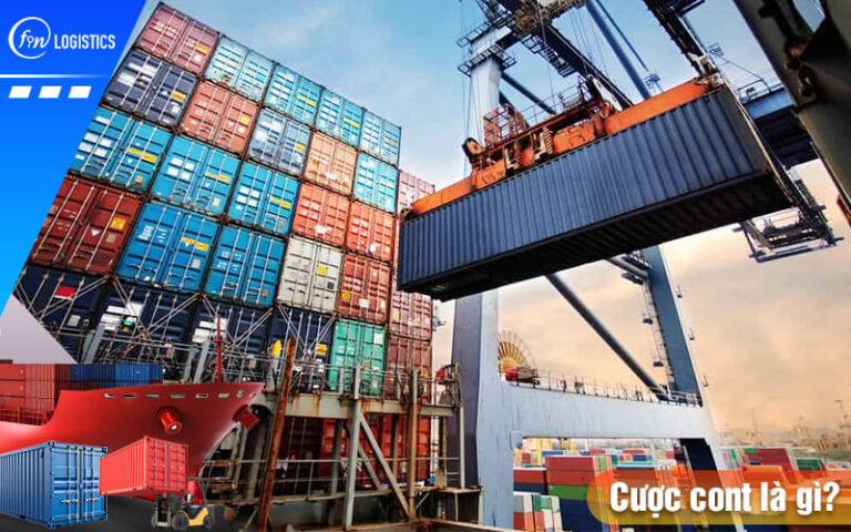 Cược Cont Là Gì? Thủ Tục Và Chi Phí Cược Cont Năm 2025