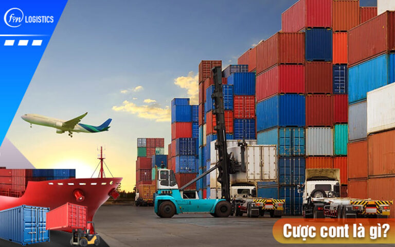 Cược Cont Là Gì? Thủ Tục Và Chi Phí Cược Cont Năm 2025