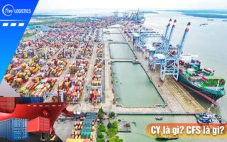 CY Là Gì? Phân Biệt Sự Khác Nhau Giữa CY Và CFS Năm 2025