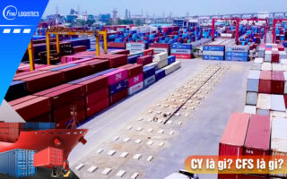 CY Là Gì? Phân Biệt Sự Khác Nhau Giữa CY Và CFS Năm 2025