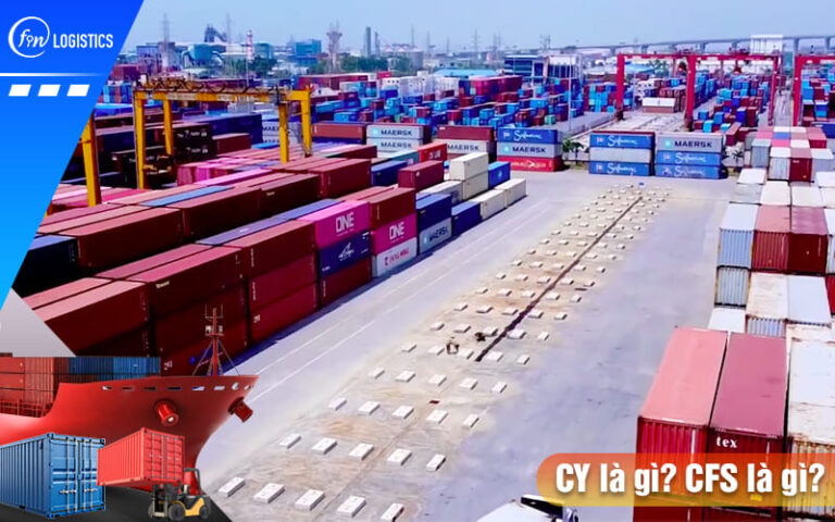 CY Là Gì? Phân Biệt Sự Khác Nhau Giữa CY Và CFS Năm 2025