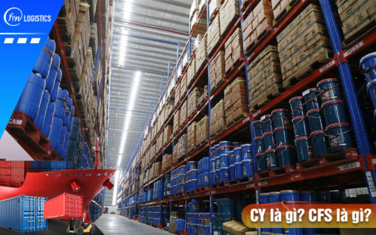 CY Là Gì? Phân Biệt Sự Khác Nhau Giữa CY Và CFS Năm 2025