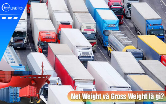Net Weight Là Gì? Gross Weight Là Gì? Cách Tính Năm 2025